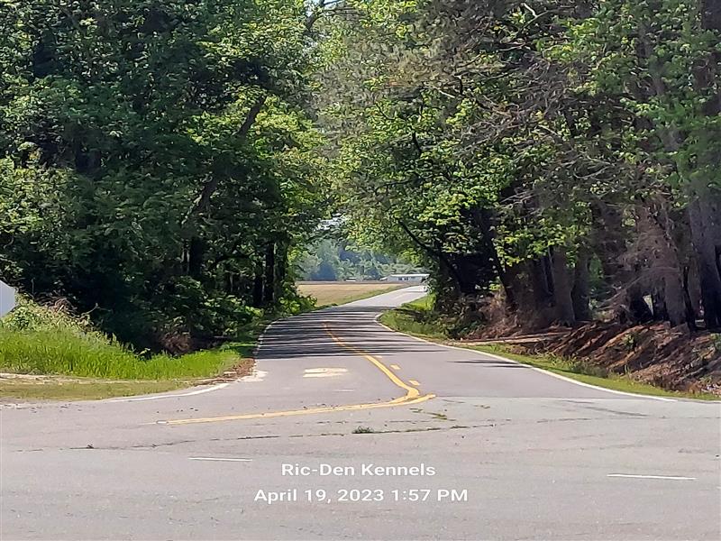 View Our Kennel Images